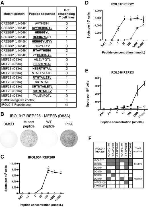 Toward Personalized Lymphoma Immunotherapy: Identification of Common ...