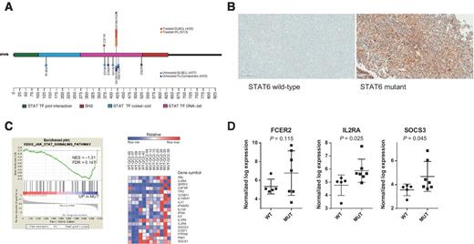 Genetic Landscapes of Relapsed and Refractory Diffuse Large B-Cell ...