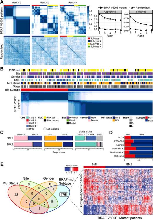 BRAF V600E Mutant Colorectal Cancer Subtypes Based on Gene Expression ...
