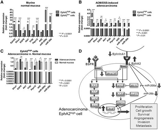 Dysregulation of EGFR Pathway in EphA2 Cell Subpopulation Significantly ...