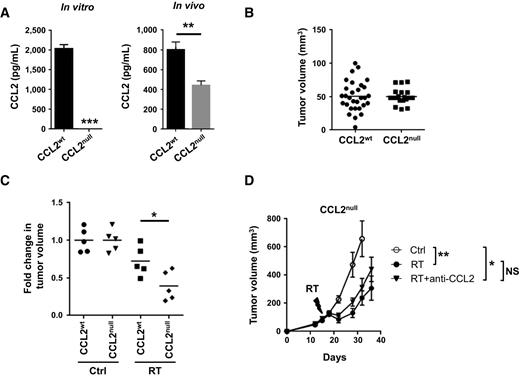 Tumor-Derived CCL2 Mediates Resistance to Radiotherapy in Pancreatic ...