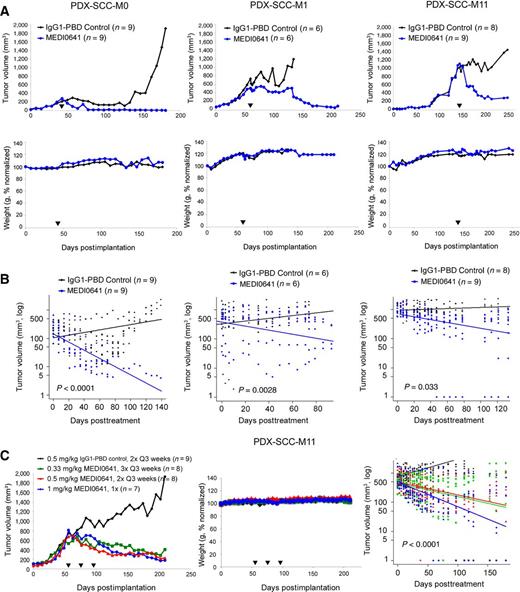 5T4-Targeted Therapy Ablates Cancer Stem Cells and Prevents Recurrence ...