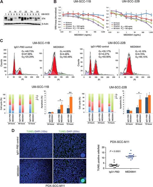 5T4-Targeted Therapy Ablates Cancer Stem Cells and Prevents Recurrence ...