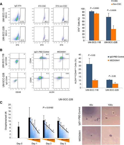 5T4-Targeted Therapy Ablates Cancer Stem Cells and Prevents Recurrence ...