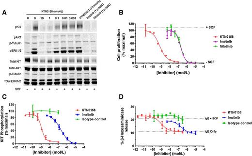 KTN0158, a Humanized Anti-KIT Monoclonal Antibody, Demonstrates ...