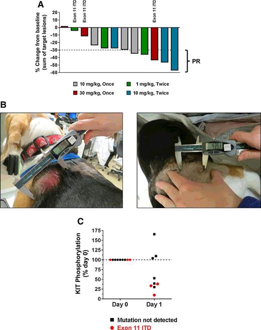 KTN0158, a Humanized Anti-KIT Monoclonal Antibody, Demonstrates ...