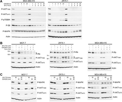 Combined Inhibition of Both p110α and p110β Isoforms of ...