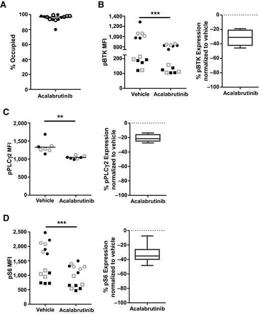 The Bruton Tyrosine Kinase (BTK) Inhibitor Acalabrutinib Demonstrates ...