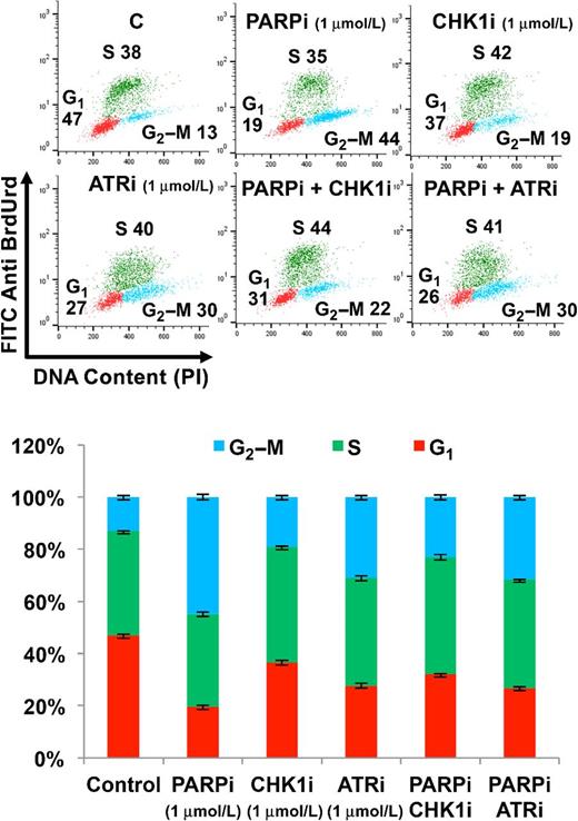 Targeting the ATR/CHK1 Axis with PARP Inhibition Results in Tumor ...