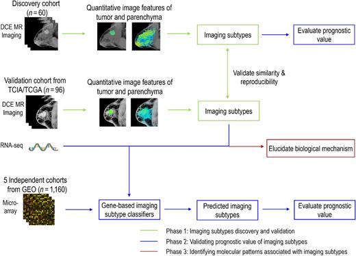 Unsupervised Clustering of Quantitative Image Phenotypes Reveals Breast ...