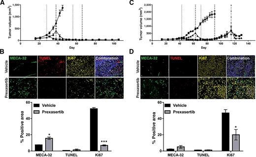 The Checkpoint Kinase 1 Inhibitor Prexasertib Induces Regression of ...
