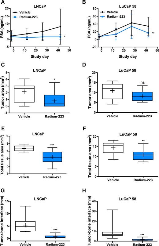 Radium-223 Inhibits Osseous Prostate Cancer Growth by Dual Targeting of ...