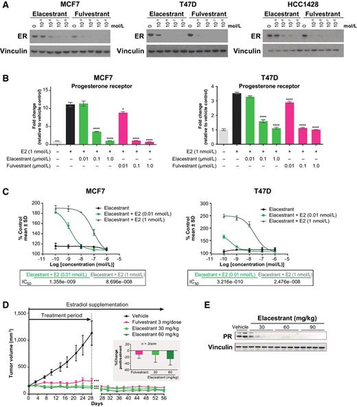 Elacestrant (RAD1901), a Selective Estrogen Receptor Degrader (SERD ...