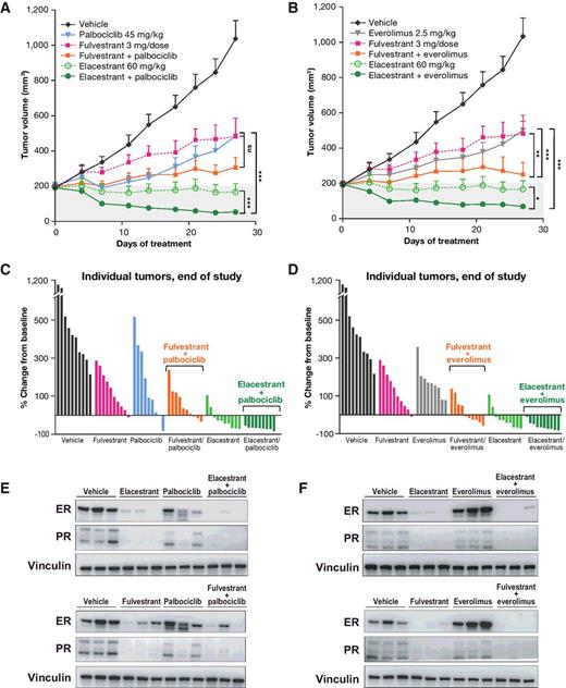 Elacestrant (RAD1901), a Selective Estrogen Receptor Degrader (SERD ...
