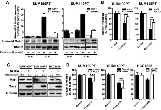 Histone Deacetylase Inhibitor Enhances the Efficacy of MEK Inhibitor ...