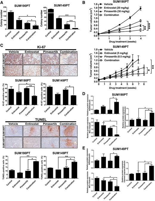 Histone Deacetylase Inhibitor Enhances the Efficacy of MEK Inhibitor ...