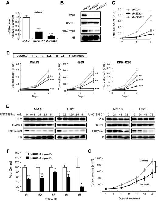 Dual Inhibition of EZH2 and EZH1 Sensitizes PRC2-Dependent Tumors to Proteasome Inhibition ...