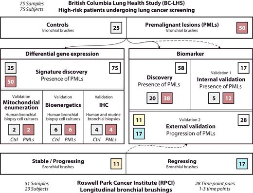 Detecting the Presence and Progression of Premalignant Lung Lesions via ...