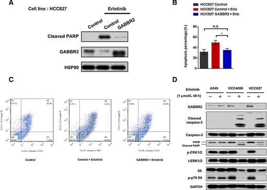 Genome-wide DNA Methylation Analysis Reveals GABBR2 as a Novel ...