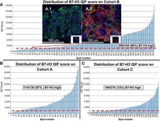 B7-H3 Expression in NSCLC and Its Association with B7-H4, PD-L1 and ...