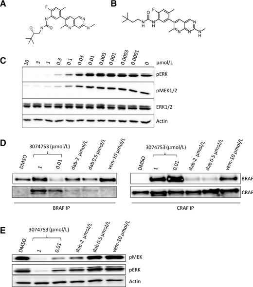 Mouse PDX Trial Suggests Synergy of Concurrent Inhibition of RAF and ...