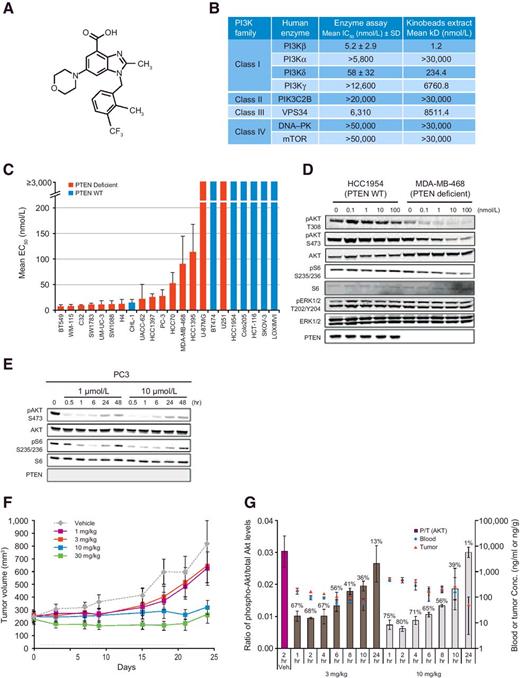 A First-Time-in-Human Study of GSK2636771, a Phosphoinositide 3 Kinase ...