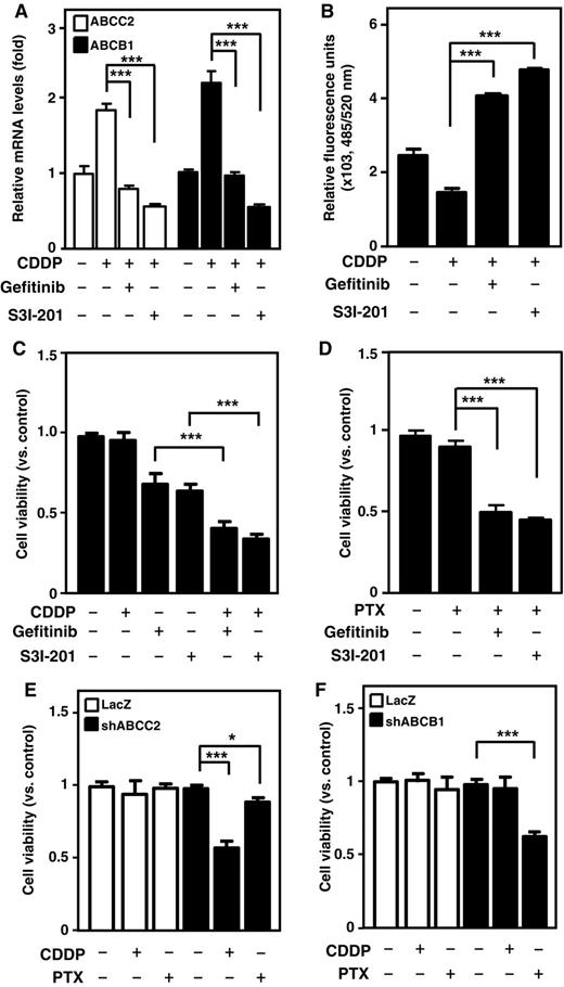 Inhibition of the EGFR/STAT3/CEBPD Axis Reverses Cisplatin Cross ...