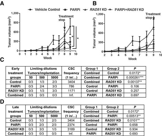 RAD51 Mediates Resistance of Cancer Stem Cells to PARP Inhibition in ...