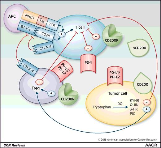 Checkpoint Proteins in Pediatric Brain and Extracranial Solid Tumors ...