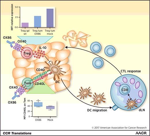 On OX40 and PD-1 Combination: Why Should OX40 Be First in Sequence ...