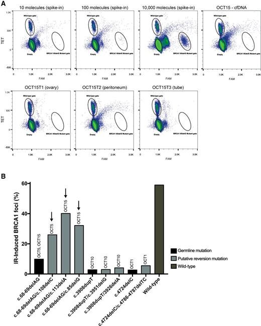 Diverse BRCA1 and BRCA2 Reversion Mutations in Circulating Cell-Free ...