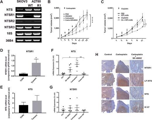 Neurotensin Receptor 1 Antagonist SR48692 Improves Response to ...