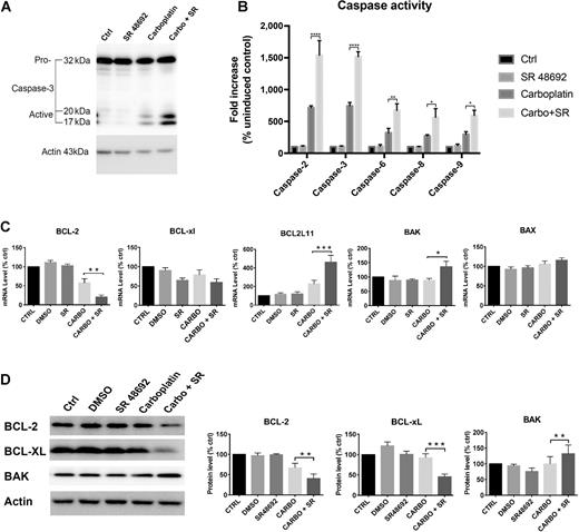 Neurotensin Receptor 1 Antagonist SR48692 Improves Response to ...