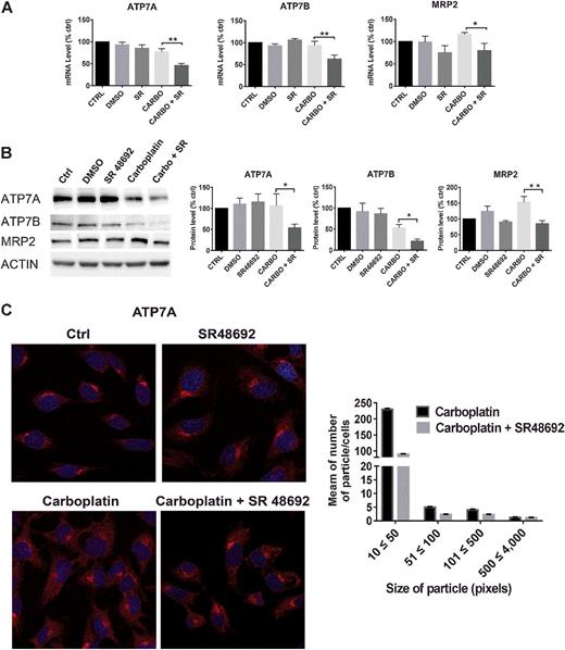 Neurotensin Receptor 1 Antagonist SR48692 Improves Response to ...