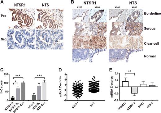 Neurotensin Receptor 1 Antagonist SR48692 Improves Response to ...