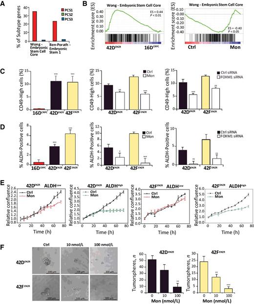 Targeting Prostate Cancer Subtype 1 by Forkhead Box M1 Pathway ...
