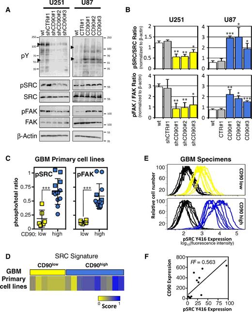 CD90 Expression Controls Migration and Predicts Dasatinib Response in ...
