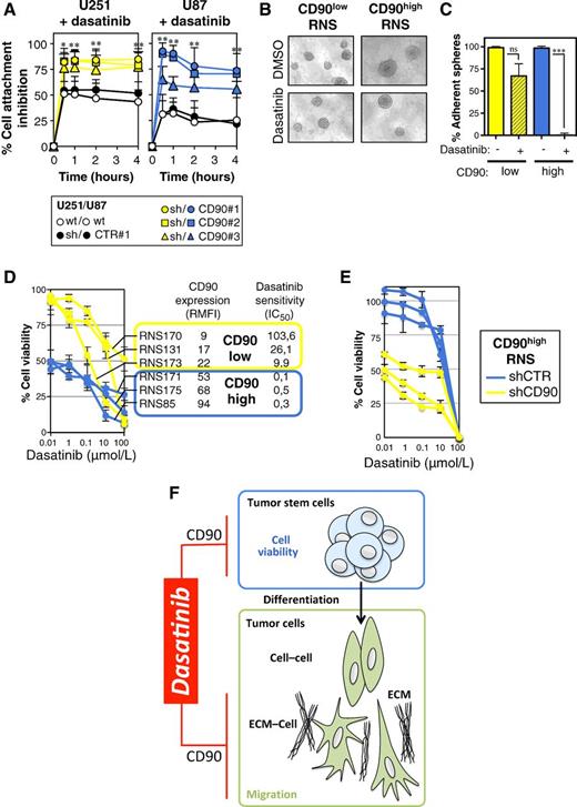 CD90 Expression Controls Migration and Predicts Dasatinib Response in ...