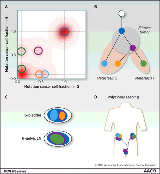 How Subclonal Modeling Is Changing the Metastatic Paradigm | Clinical ...