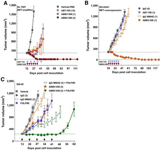 ABBV-399, a c-Met Antibody–Drug Conjugate that Targets Both MET ...