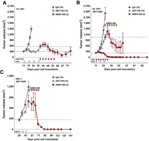 ABBV-399, a c-Met Antibody–Drug Conjugate that Targets Both MET ...
