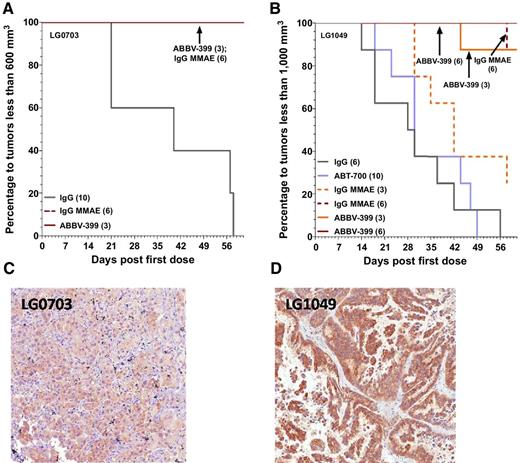 ABBV-399, a c-Met Antibody–Drug Conjugate that Targets Both MET ...