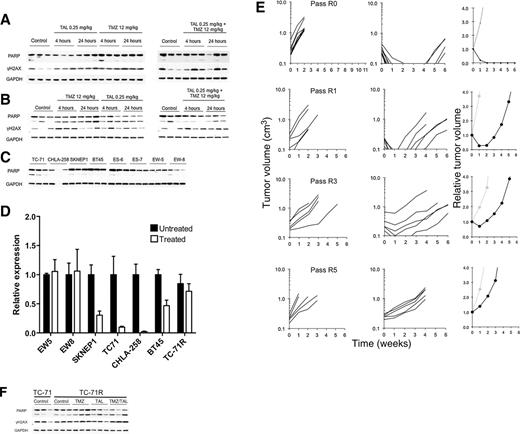 Correction: Synergistic Activity of PARP Inhibition by Talazoparib (BMN ...