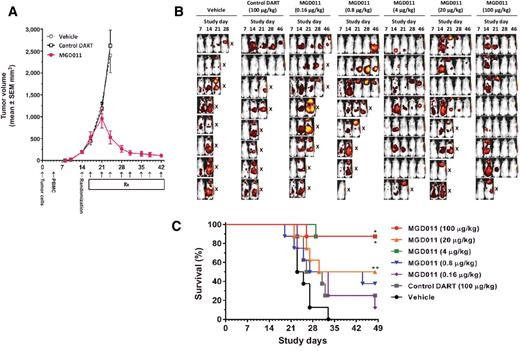 MGD011, A CD19 x CD3 Dual-Affinity Retargeting Bi-specific Molecule ...