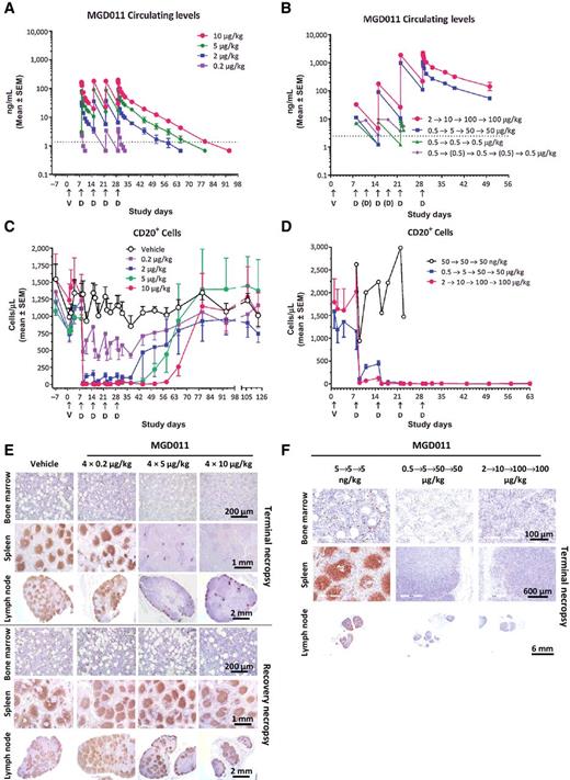 MGD011, A CD19 x CD3 Dual-Affinity Retargeting Bi-specific Molecule ...