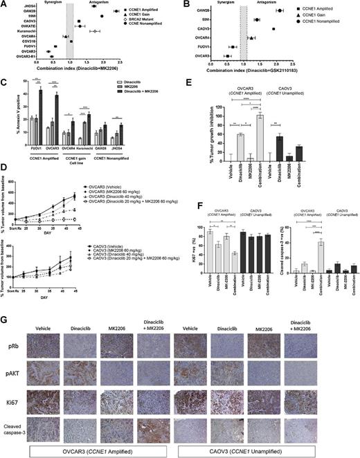 Selective Targeting of Cyclin E1-Amplified High-Grade Serous Ovarian ...