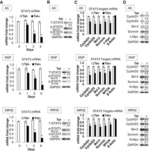 Inhibition of STAT3 with the Generation 2.5 Antisense Oligonucleotide ...