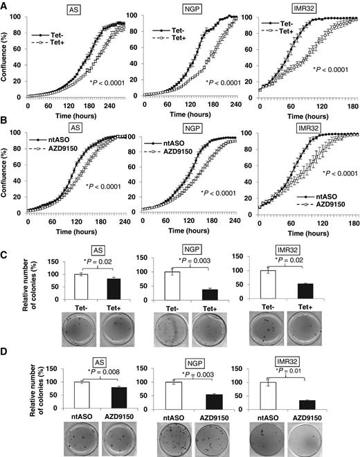 Inhibition of STAT3 with the Generation 2.5 Antisense Oligonucleotide ...