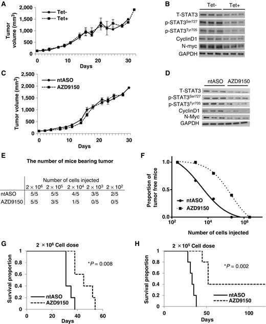 Inhibition of STAT3 with the Generation 2.5 Antisense Oligonucleotide ...