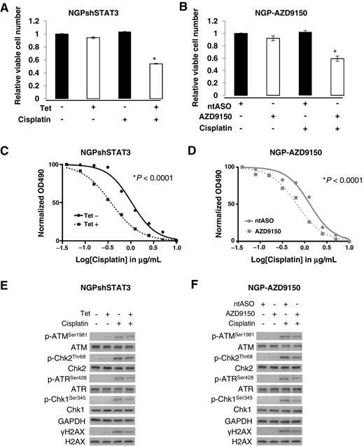 Inhibition of STAT3 with the Generation 2.5 Antisense Oligonucleotide ...